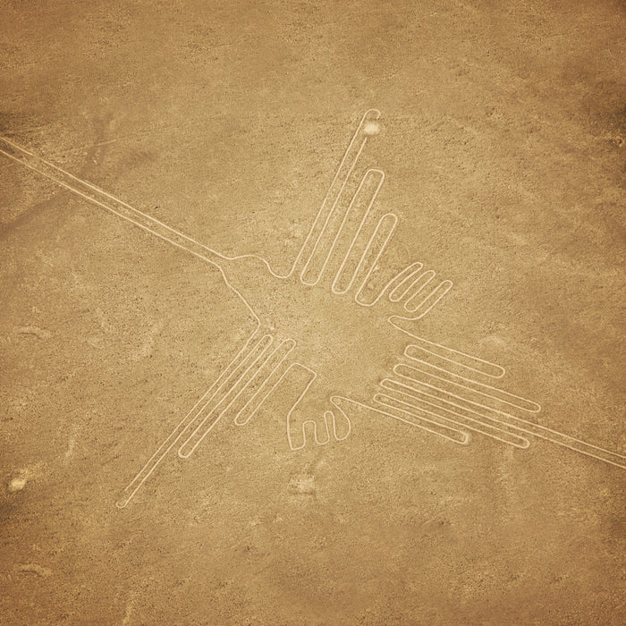 Enlightened Generation - Nasca Lines Collection